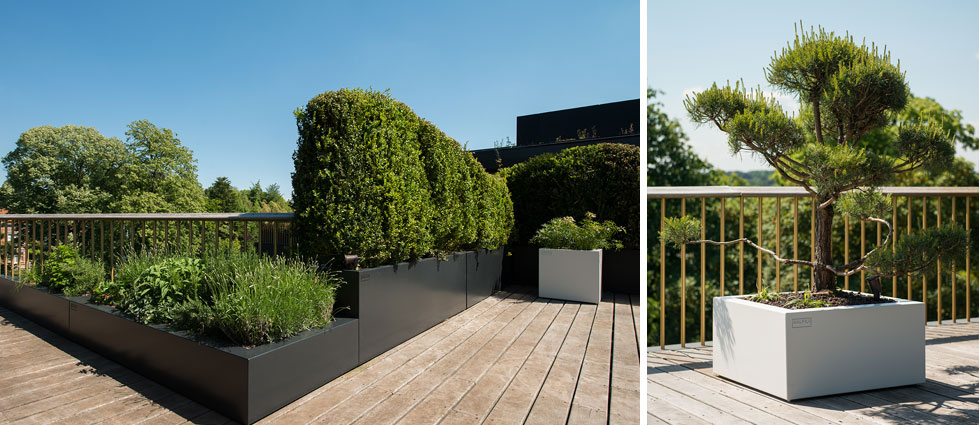 Dakterras wordt baken van groen | Getekend WALFiLii - Chic Gardens